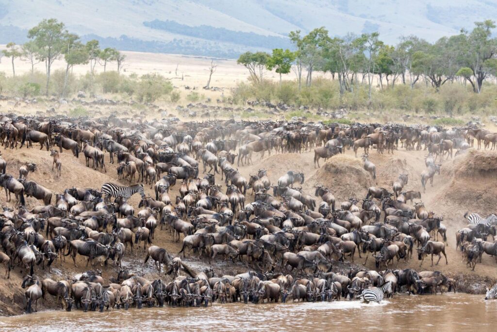 Do You Want to Explore the Natural Wonders of Kenya? Here are Few Tips ...